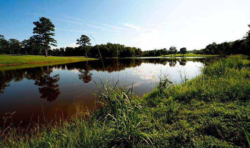 Lineville City Park - Alabama Birding Trails