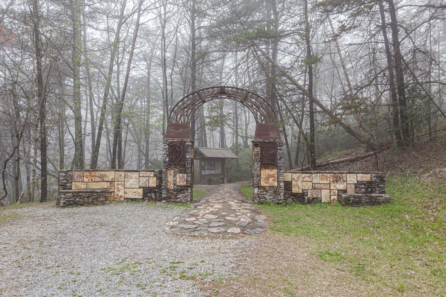Appalachian Highlands Archives - Alabama Birding Trails