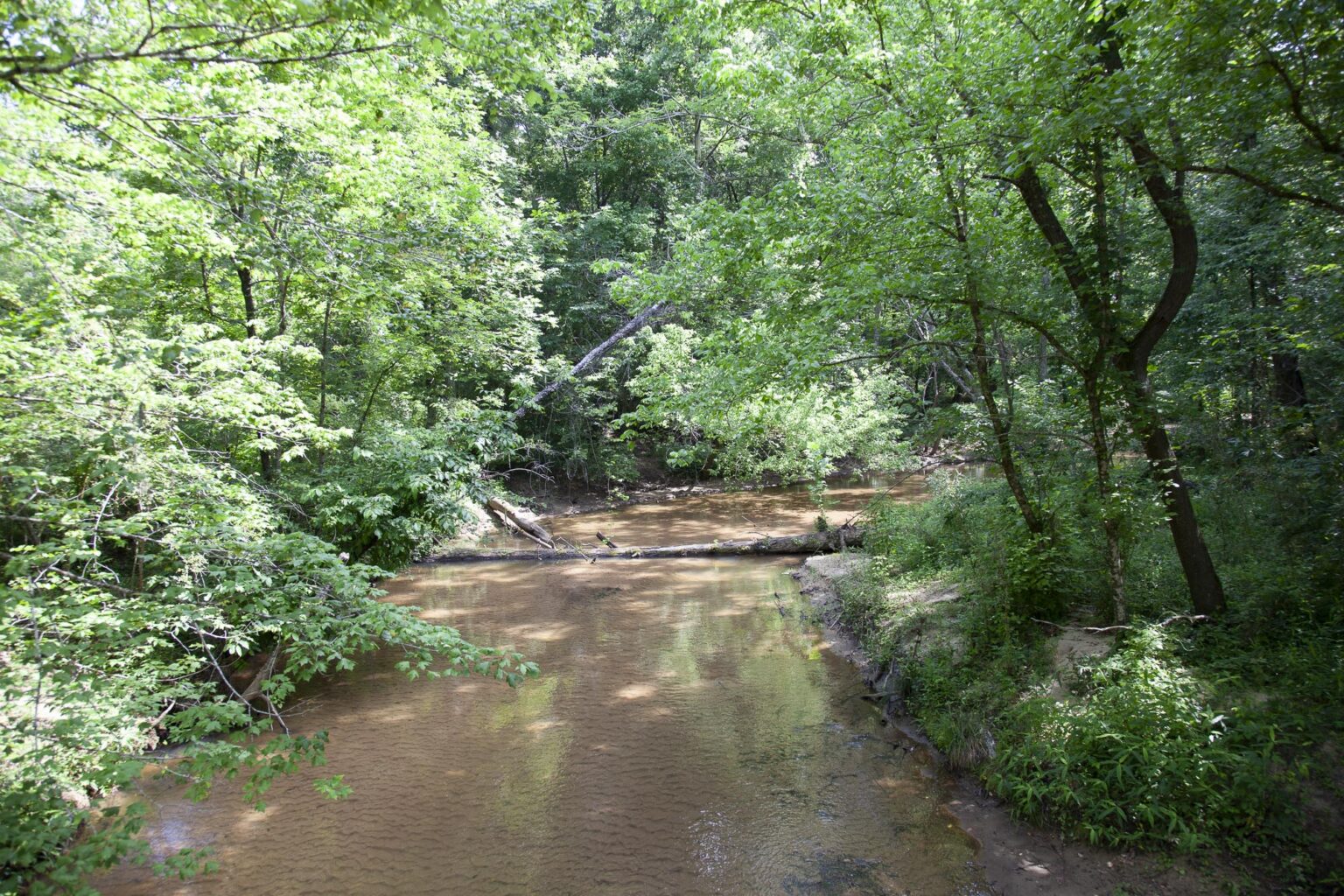 Autauga Archives - Alabama Birding Trails