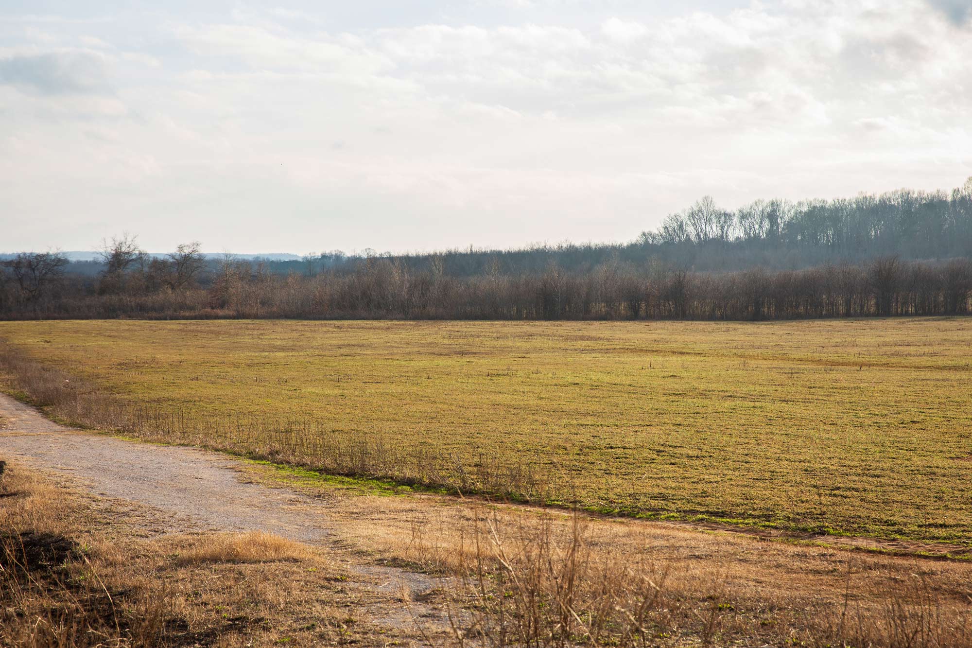 Key Cave National Wildlife Refuge - Alabama Birding Trails