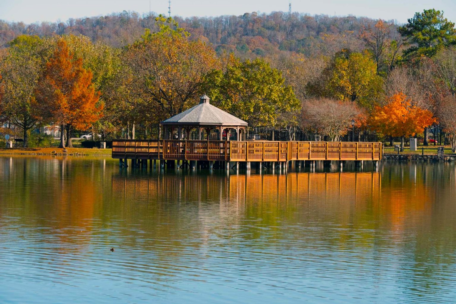 Appalachian Highlands Archives - Alabama Birding Trails