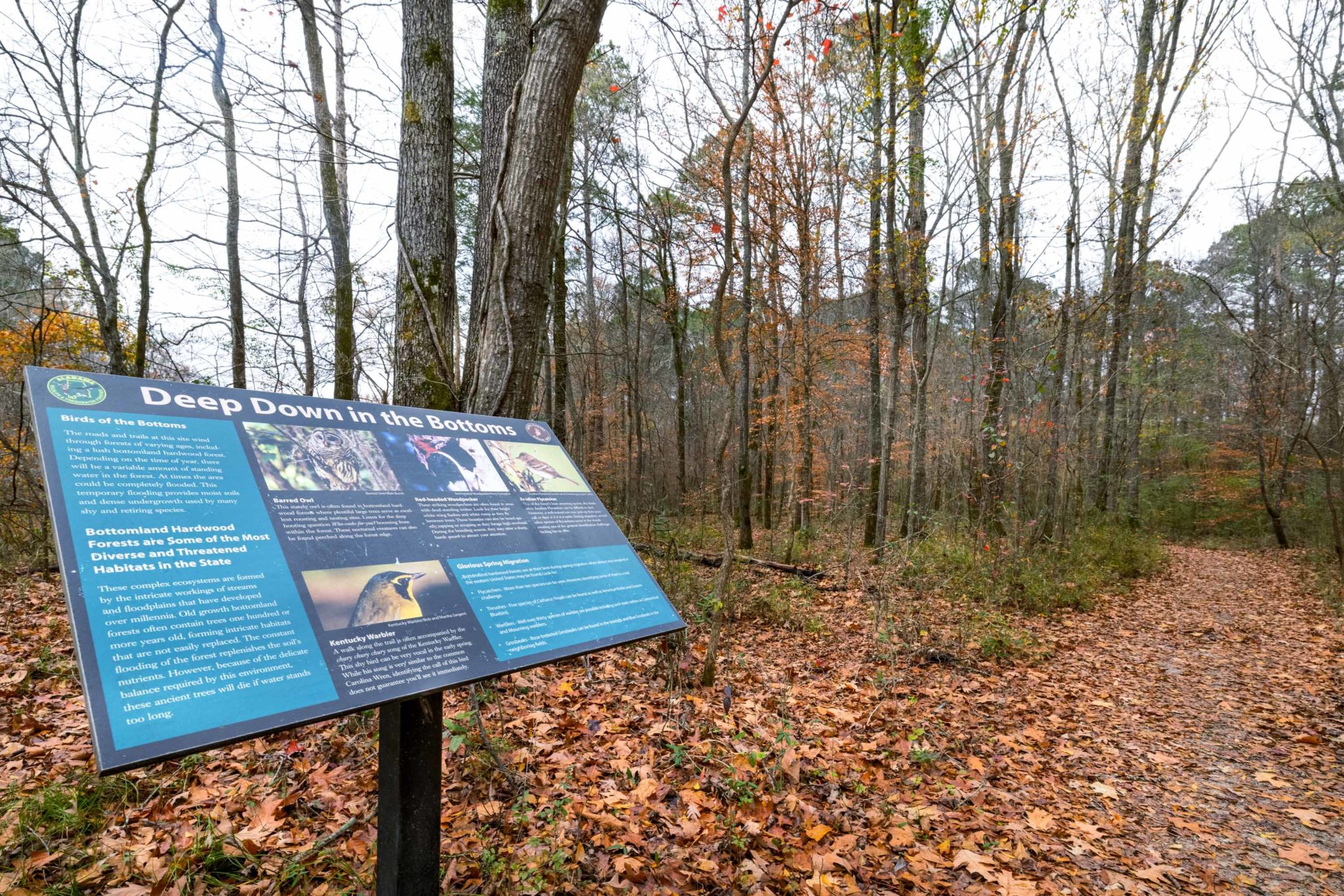 Morgan Archives - Alabama Birding Trails