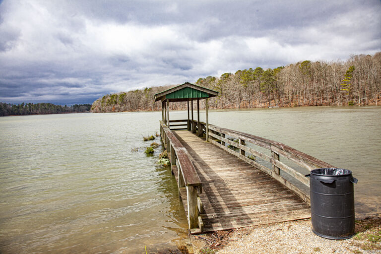 North Alabama Archives - Alabama Birding Trails