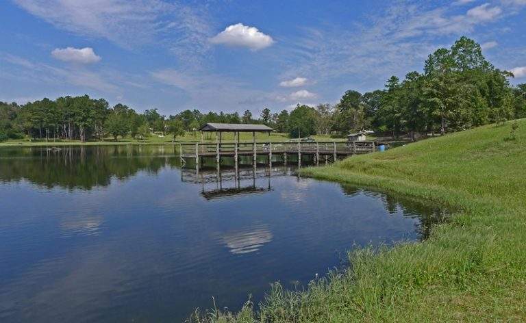 Piney Woods Archives - Alabama Birding Trails