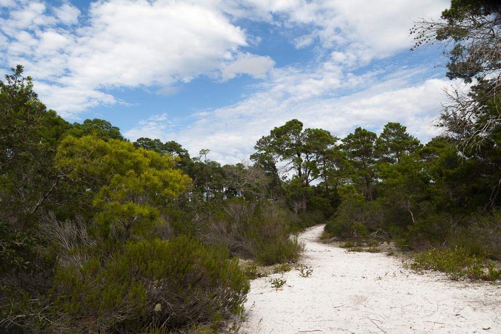 Bon Secour NWR – Pine Beach Trail - Alabama Birding Trails