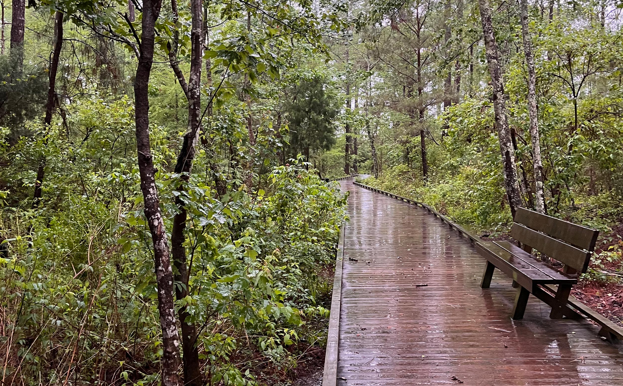Village Point Park - Alabama Birding Trails