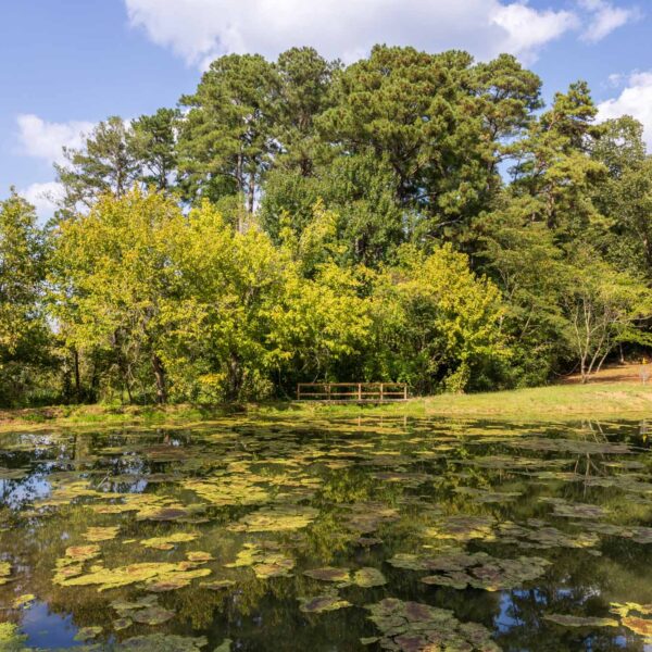 Map - Alabama Birding Trails