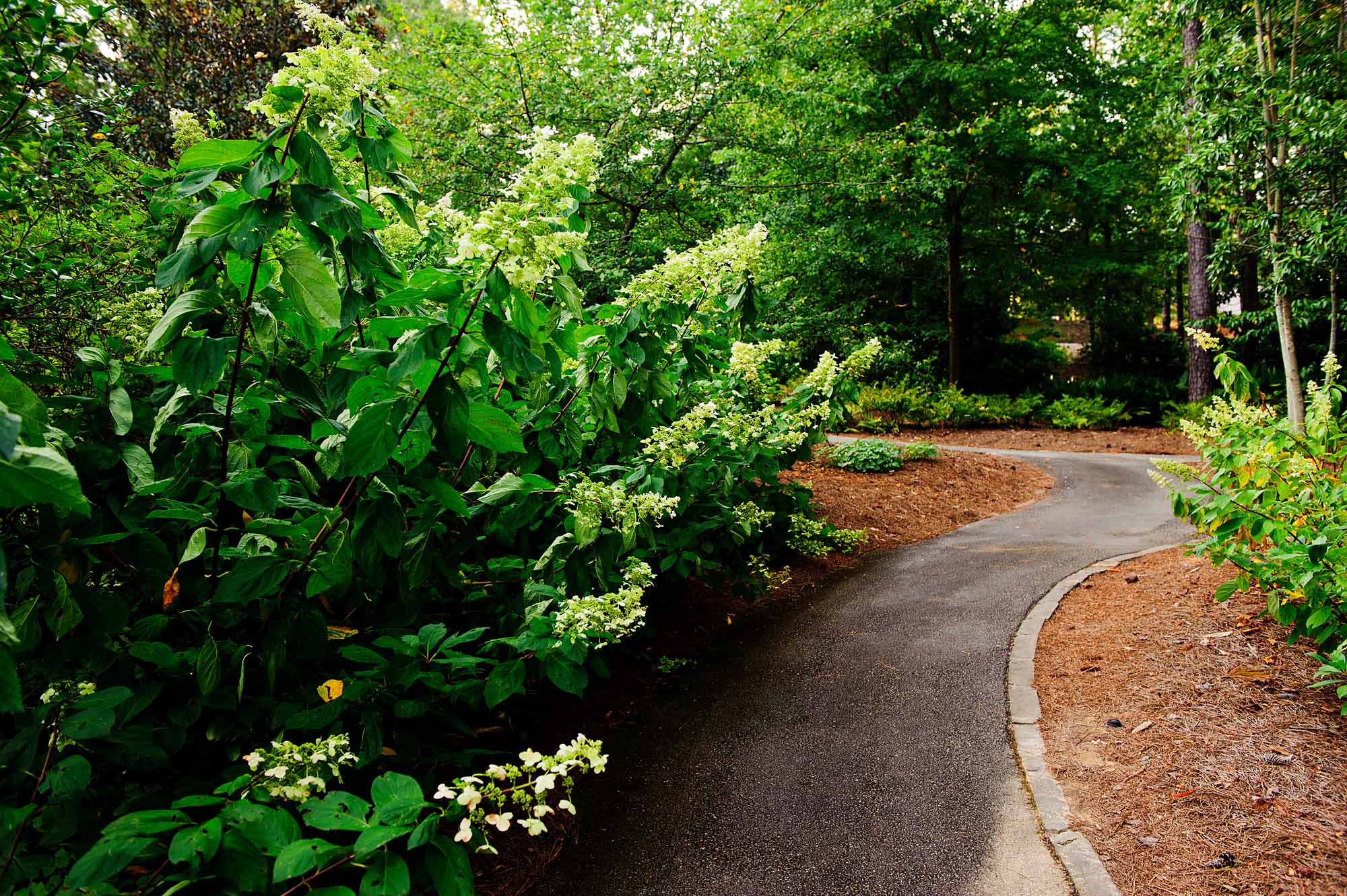 Accessibility Details - Alabama Birding Trails