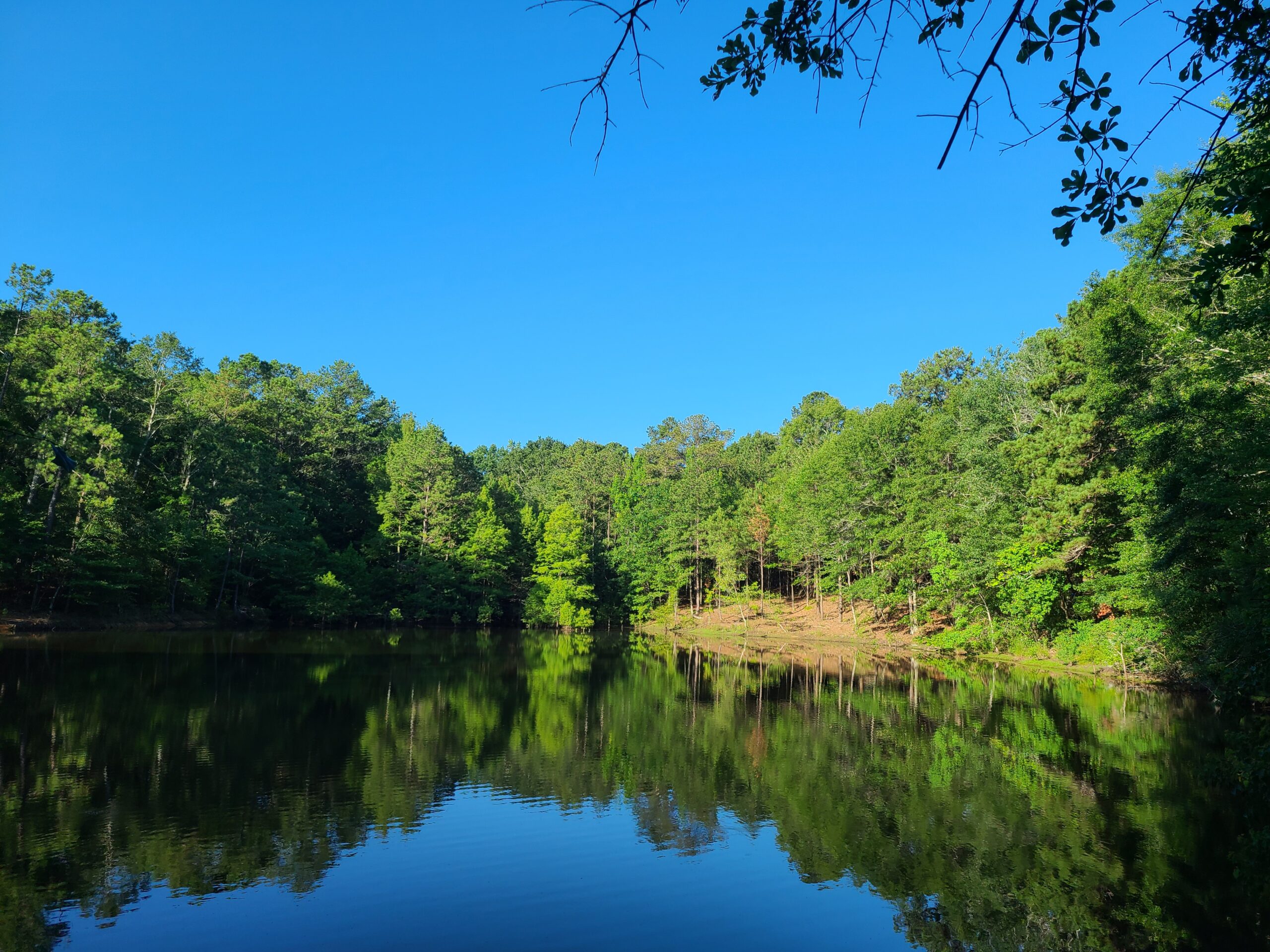 Troy University Arboretum - Alabama Birding Trails